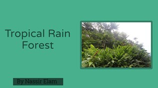 Tropical Rain at emaze Presentation