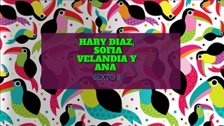 HARY DIAZ Y SOFIA at emaze Presentation