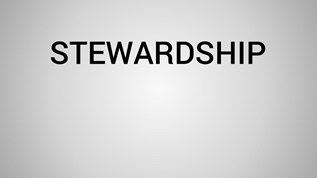 STEWARdSHIP at emaze Presentation