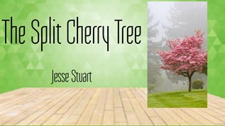 The Split Cherry tree at emaze Presentation