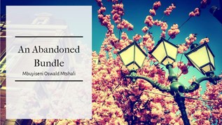 An Abandoned Bundle at emaze Presentation