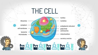 PARTS OF THE CELL at emaze Presentation