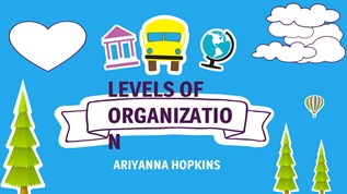 LEVELS OF ORGANIZATION at emaze Presentation