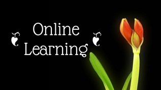 Online Learning at emaze Presentation
