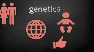 genetics at emaze Presentation