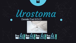 Urostoma at emaze Presentation