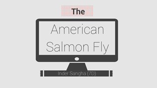 American Salmon Fly at emaze Presentation