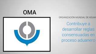 OMA at emaze Presentation