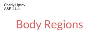 Body Regions at emaze Presentation