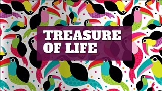 Treasure of life at emaze Presentation