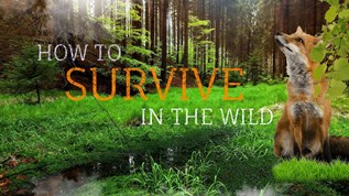 How to Survive in the Wild on emaze