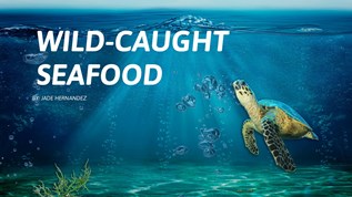 WILD-CAUGHT SEAFOOD at emaze Presentation