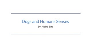 Dogs and Humans Senses at emaze Presentation