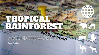 tROPICAL rAINFOREST at emaze Presentation