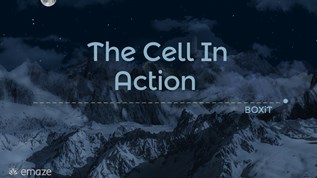 The Cell in Action at emaze Presentation