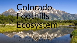 Colorado Foothills Ecosystem at emaze Presentation
