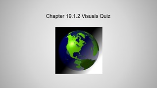 Ch19.1.2 Visual Quiz at emaze Presentation