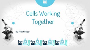 Cells Working Together at emaze Presentation