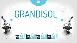 GRANDISOL at emaze Presentation