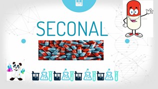 SECONAL-LAURA BUITRAGO-1102 at emaze Presentation