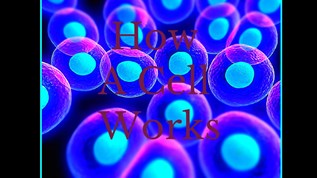 How a cell works at emaze Presentation