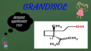 GRANDISOL at emaze Presentation