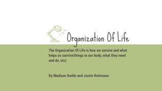 Organization Of Life at emaze Presentation