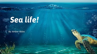 Sea life at emaze Presentation