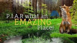 Camp Revision at emaze Presentation