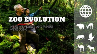 Zoo Evolution at emaze Presentation