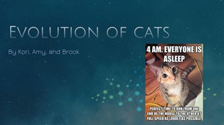Evolution of cats at emaze Presentation