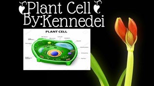 plant cell at emaze Presentation