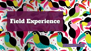 Field Experience at emaze Presentation