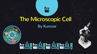 the prodigious cell at emaze Presentation