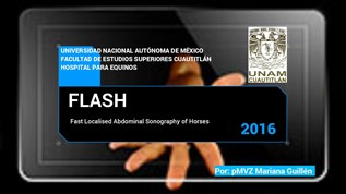 FLASH_Hospi at emaze Presentation