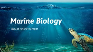 Marine Biology at emaze Presentation