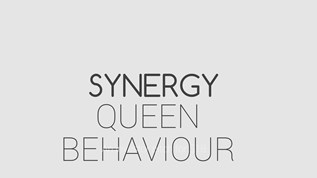 synergy - queen behaviour at emaze Presentation