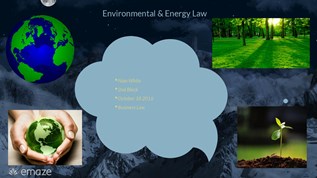 Niaa White 2nd at emaze Presentation