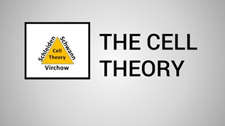 The Cell Theory at emaze Presentation