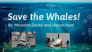 Save the Whales! at emaze Presentation