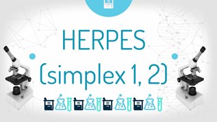 Herpes Simplex at emaze Presentation