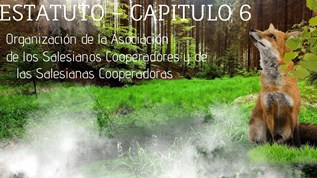 CAPITULO 6 PVA at emaze Presentation