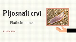 Untitled at emaze Presentation