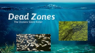 Dead Zones at emaze Presentation