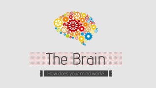 Mental Illusions | The Brain at emaze Presentation