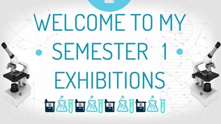 SEMESTER 1 EXHIBITION at emaze Presentation