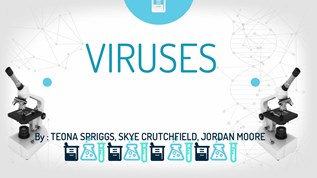 VIRUSES at emaze Presentation