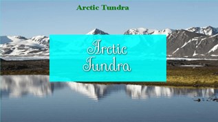 Arctic at emaze Presentation