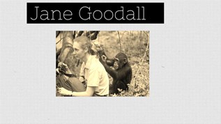 Jane Goodall at emaze Presentation