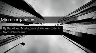 Micro-organisms at emaze Presentation